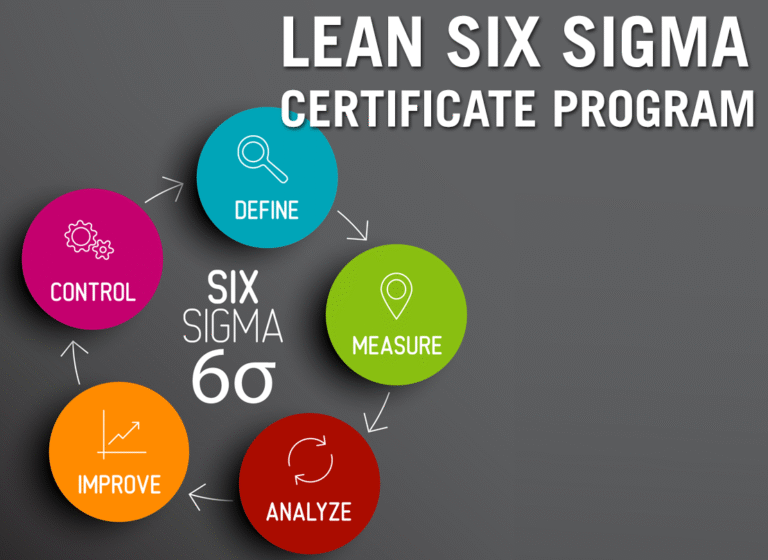 Six Sigma Process Improvement Consultants Driving Efficiency